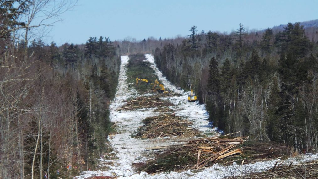 Right of Way Clearing - Northern Clearing - Industry Leader in Right of ...