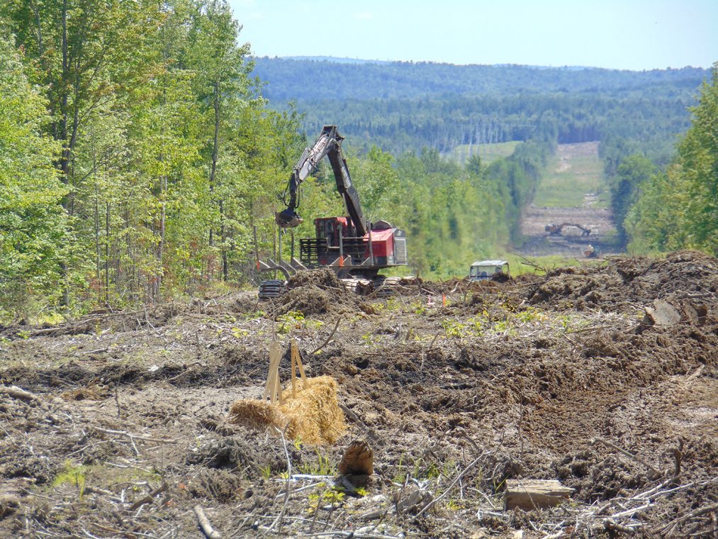 Right of Way Clearing - Northern Clearing - Industry Leader in Right of ...